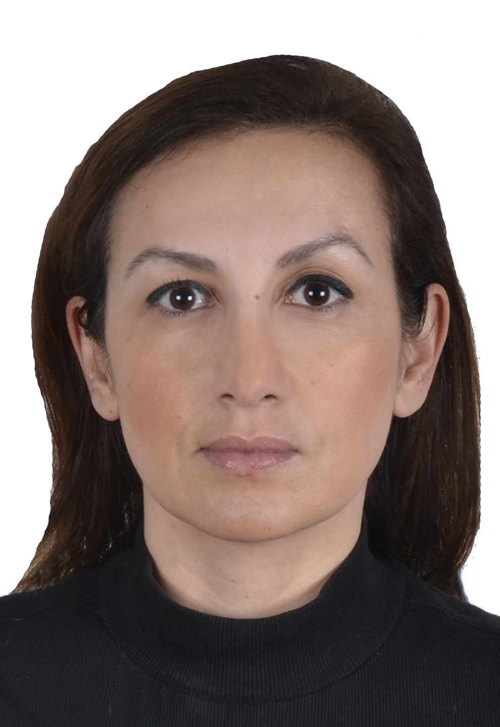 Biology – Shenzhen College of International Education