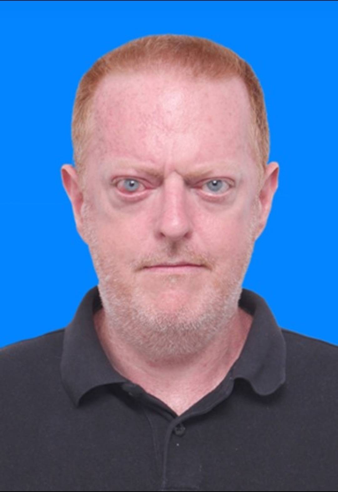 English – Shenzhen College of International Education